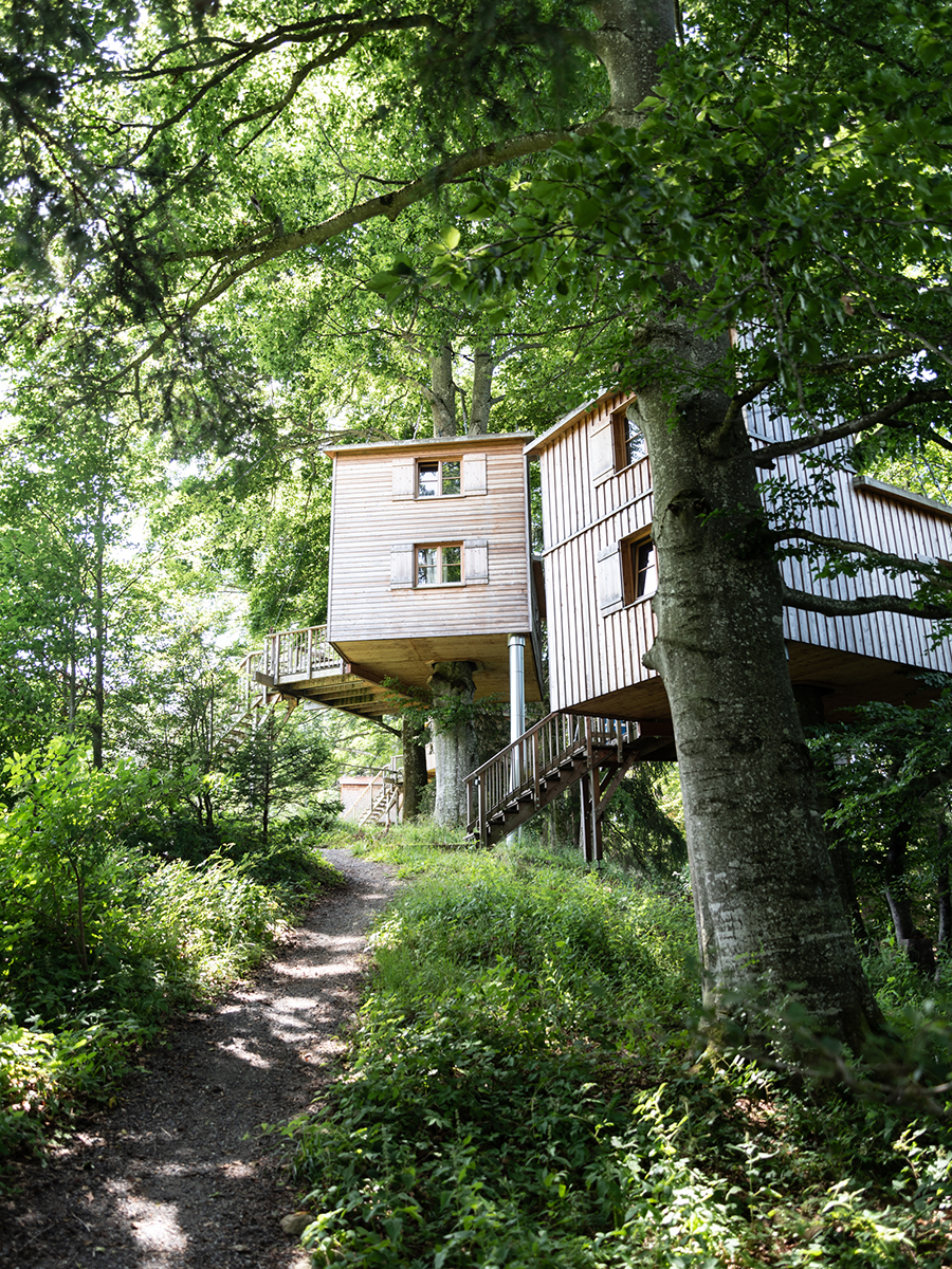Spannende Baumhaus Bernachtung Bayern Fotos