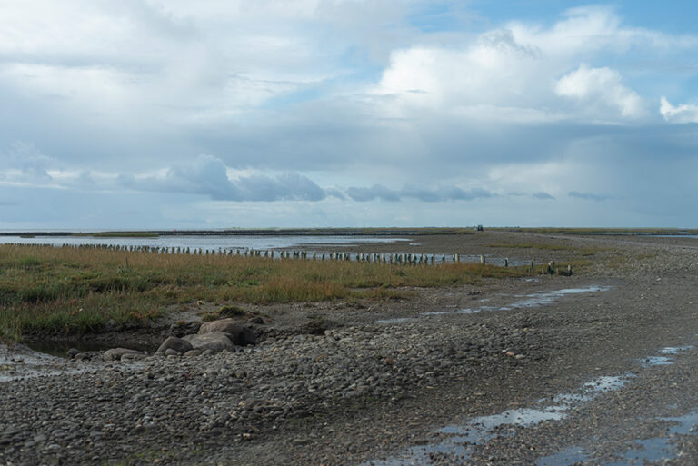 Nordsee-Insel Mandø im dänischen Wattenmeer